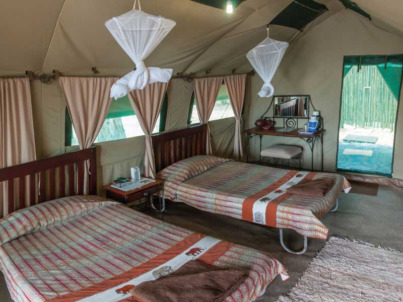 Goliath Camp - FlowAfrica